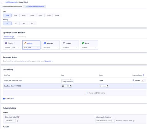 hourly vps 1 vps diy vps global vps and usdt vps flexible and