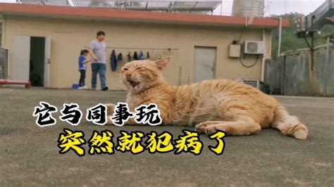 大橘和同事玩着玩着突然犯病了不知是不是肺结核 YouTube