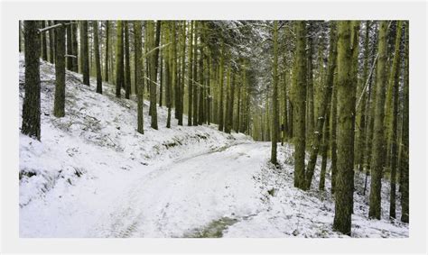 Image Processing Android Bitmap Contrast Implementation Stack Overflow