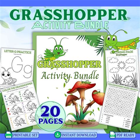 Grasshopper Activity Pack Grds K 2nd Made By Teachers