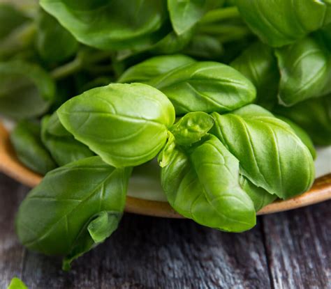 4 Pasta Sauce Herbs To Grow At Home Ronzoni