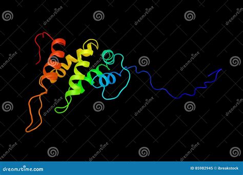 Epsin 1 An Endocytic Accessory Protein That Interacts With Eps15 The Alpha Subunit Of The