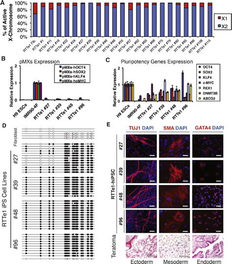 Generation And Pluripotency Characterization Of Rtte1 Hipscs