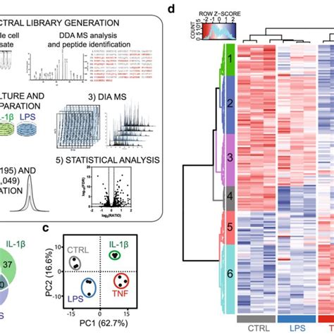 dia ms workflow and analysis a a spectral library was generated