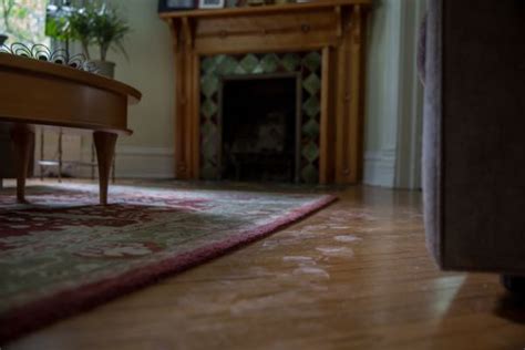 How To Control Remodeling Dust Best Practices Concord Carpenter
