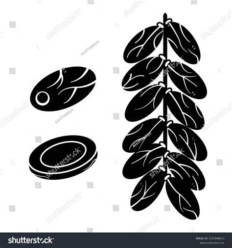 Date Fruits Vector Illustration Cartoon Flat Stock Vector Royalty Free 2142998613 Shutterstock