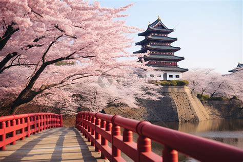 春季浪漫的樱花公园高清图片下载 正版图片600767675 摄图网