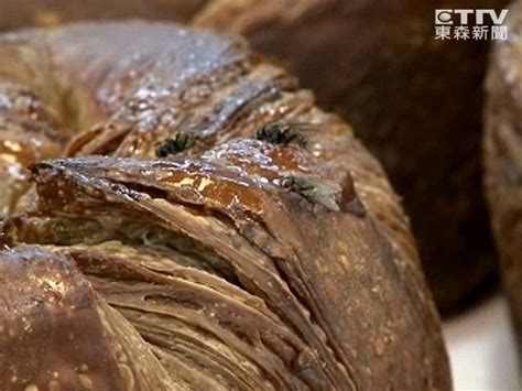 蒼蠅沾過的食物你會吃嗎？ 「專家解釋」看完好反胃 Ettoday健康雲 Ettoday新聞雲
