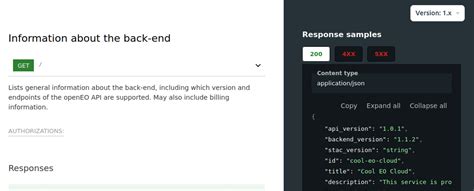 Stac Version Example Has Value String Issue Open Eo