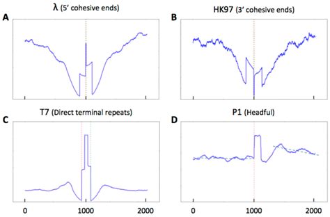 Sequence Coverage At Termini Position The Sequence Coverage Around The