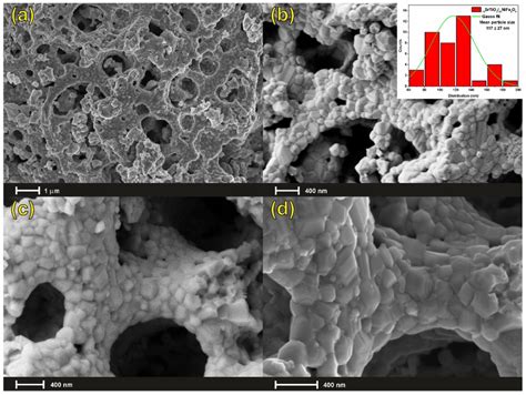 Fe Sem Image Of The Porous Structure A [scale 1 µm Electron High