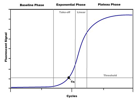 A Practical Overview Of Qpcr Aat Bioquest