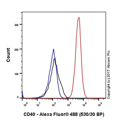 Anti Cd40 Antibody Epr20735 Ab224639 Abcam