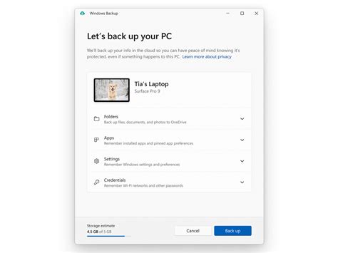 Windows 11 Preview