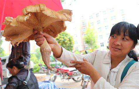 中过毒看过小人跳舞也要吃蘑菇每个云南人都是马里奥