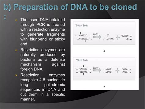 Gene Cloning Ppt