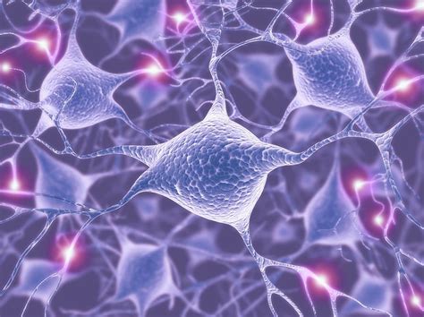 Neural Network Photograph By Ktsdesign Science Photo Library Fine Art America