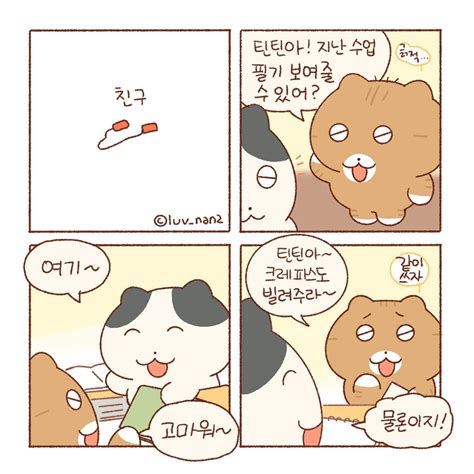 난🐱 𝑵𝑨𝑵 돈독한 친구사이🐱🐱 많은 일을 같이 겪어왔기 때문에 아깝지 않고 또 믿는 관계 서로 실수하는걸 흑역사라며