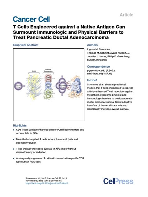 Kpc Mouse Model Pdf T Cell Antigen