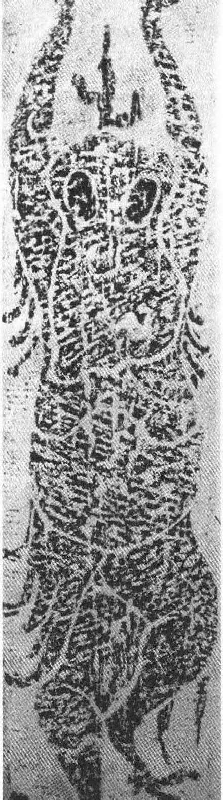三根据画像石地域内容鉴别 画像石 图片