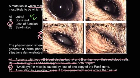Nikolays Genetics Lessons On Linkedin Mutations Lethal Dominant Loss Of Function Sex Limited