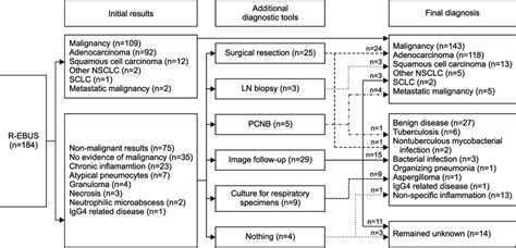 Initial Result And Final Diagnosis R Ebus Radial Probe Endobronchial