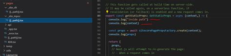Nextjs Nextjs Multisite Plugin Context Is Not Returning Rewrite Path