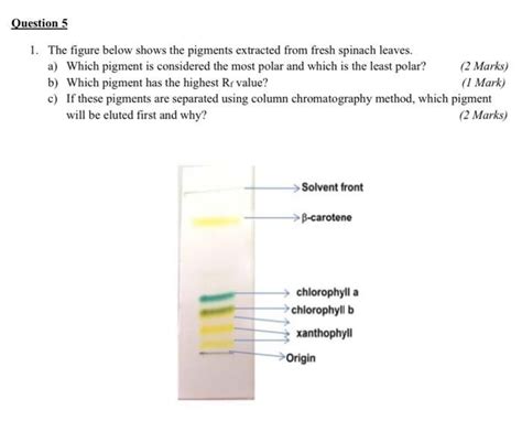 Solved Question 5 1. The figure below shows the pigments | Chegg.com ...