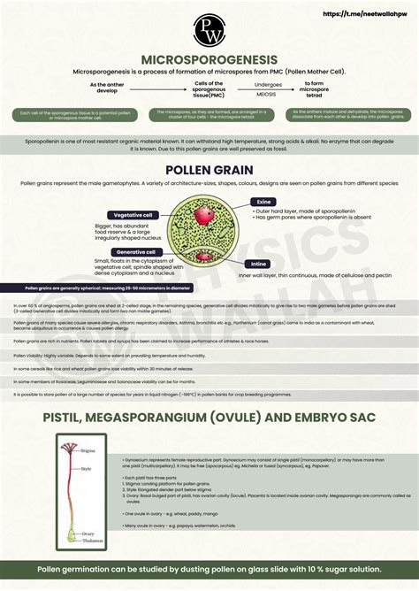 SOLUTION Sexual Reproduction In Flowering Plants Mind Map Studypool
