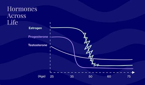 Menopause 101 What You Need To Know Elektra Health