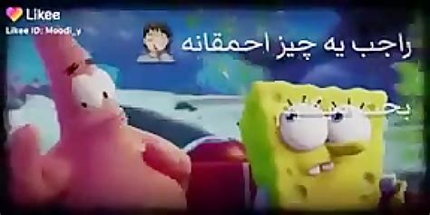 کاتون باب اسفنجی