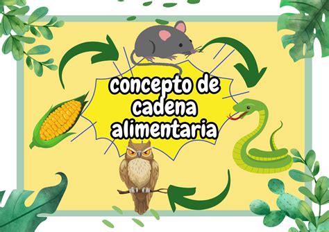 Explorando Las Cadenas Alimentarias Comprender Cómo Interactúan Los