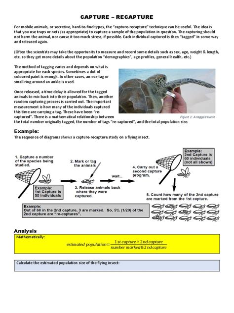 Capture Recapture Pdf