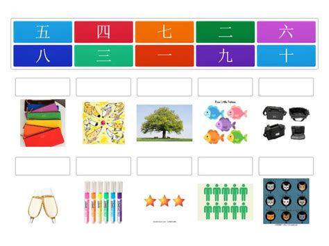 Primary 1 Numbers Match Up