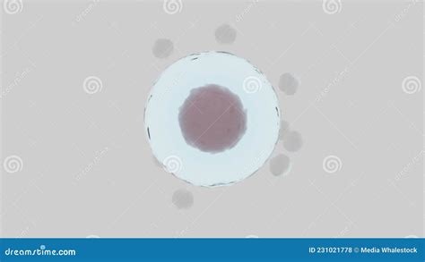 Balls Randomly Move Around Sphere Design Stock Footage Video Of