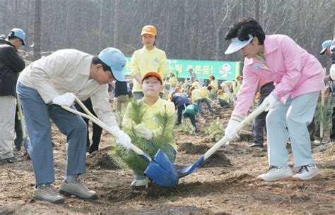 [노무현사료관] [제61회 식목일 행사에서 김영헌 어린이와 소나무를 심는 노무현 대통령 내외]
