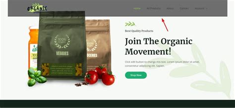 A Step By Step Guide To Creating Stunning Headers With Astra Wpcrafter