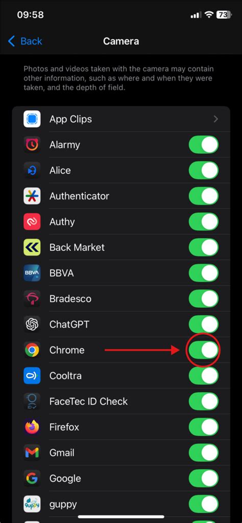 How To Allow Camera Access Permissions On My Device Alice Biometrics