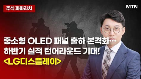 허반석의 주식파파라치 애플 현대차 벤츠 삼성tv까지 모두 납품 Lg디스플레이 Youtube