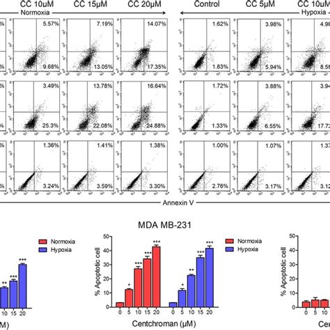 CC inhibited hypoxia induced HIF α VEGF VEGFR and AKT ERK signalling Download Scientific