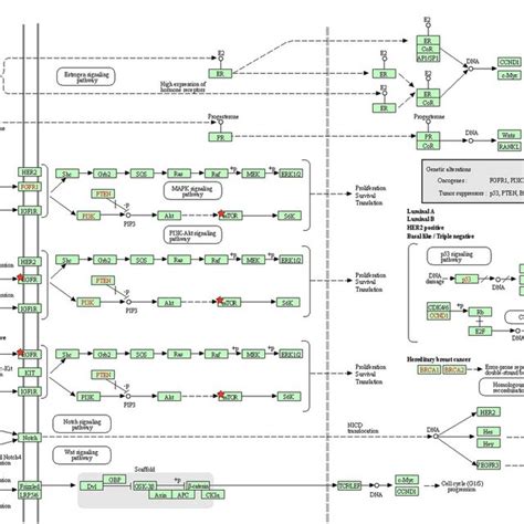 Kegg Pathway Map Of Breast Cancer Download Scientific Diagram
