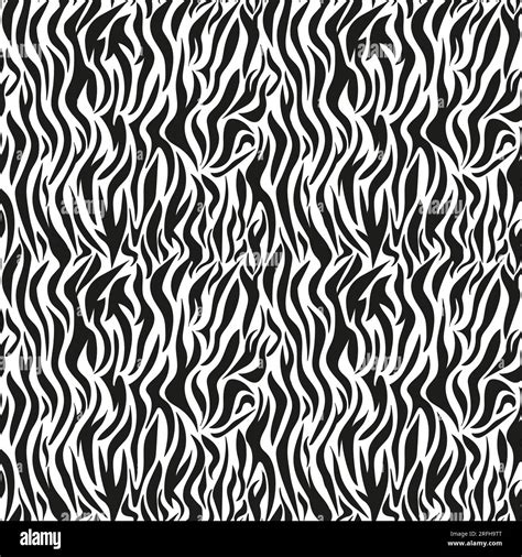 Real Zebra Print Wallpaper