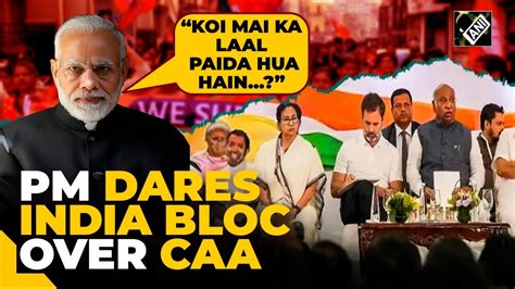 “koi Mai Ka Lal Paida Hua Hai” Pm Modi Dares India Bloc Over Caa