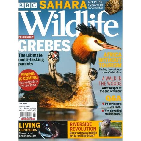 BBC Wildlife 3月號 2021金石堂