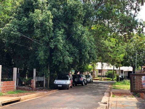 Chacra 4 vecinos piden poda de árboles y reductores de velocidad
