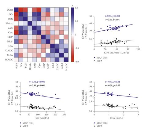 Correlations Between Clinical Indexes And Mri Parameters Legends