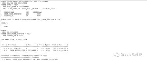 oracle 扩展统计信息收集 extension statistics oracle收集扩展统计信息 csdn博客