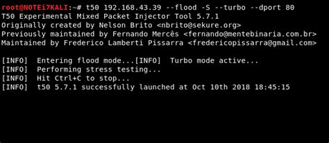 Windows 3 Packet Injection Tool 571 Fig 12 With The Window 3 Fig