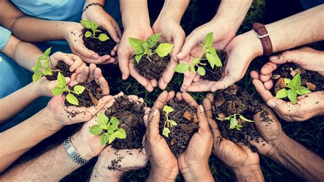 Latinoamericanos Al Rescate Cuatro Proyectos Sustentables Que Buscan