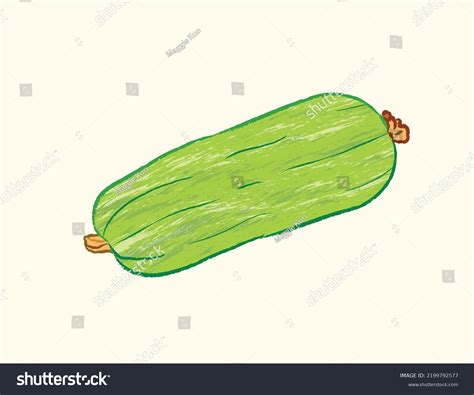 Whole Green Raw Loofah Flat Vector Stock Vector Royalty Free
